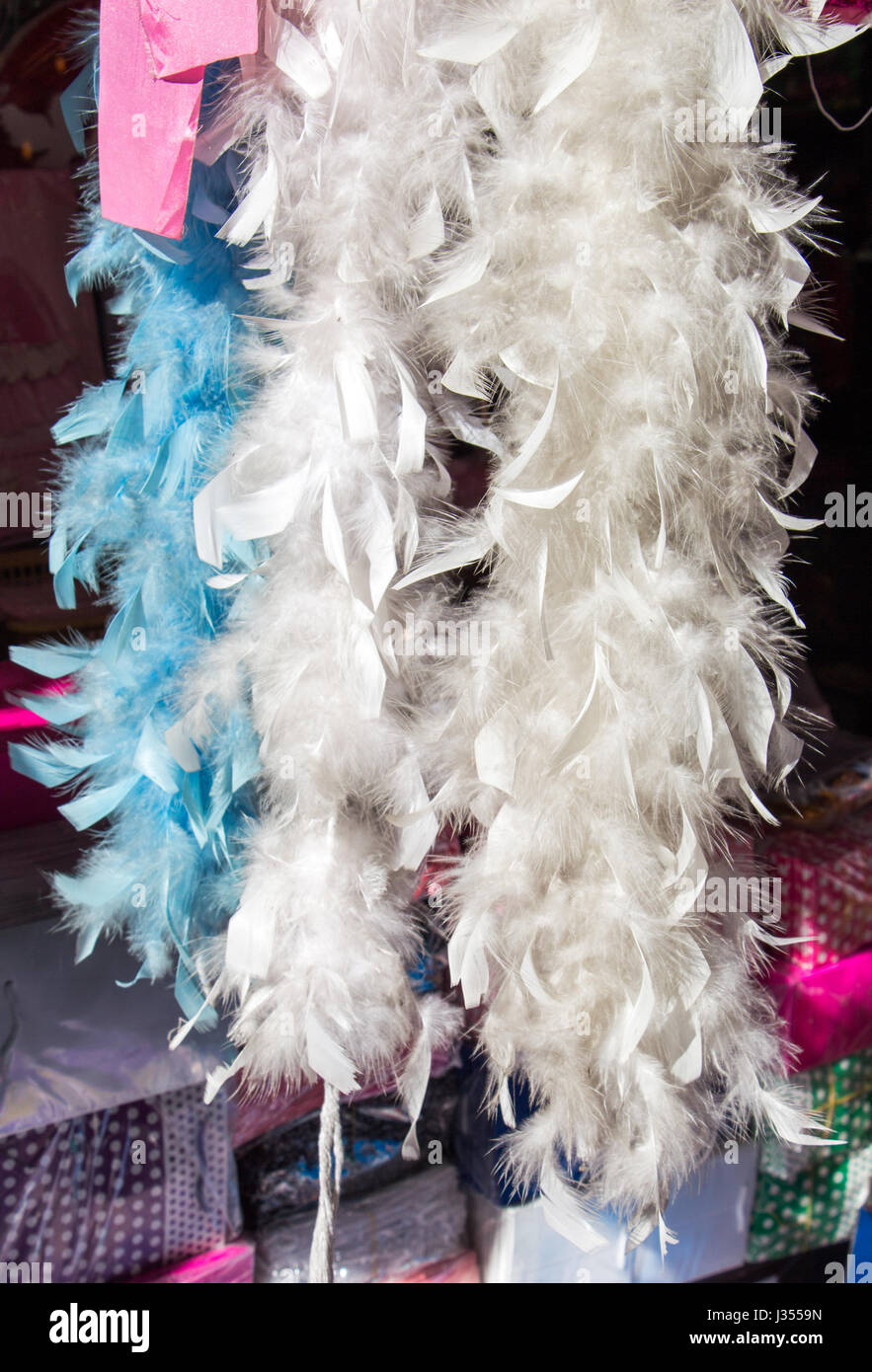 Collection of colorful bird feather for decoration Stock Photo - Alamy