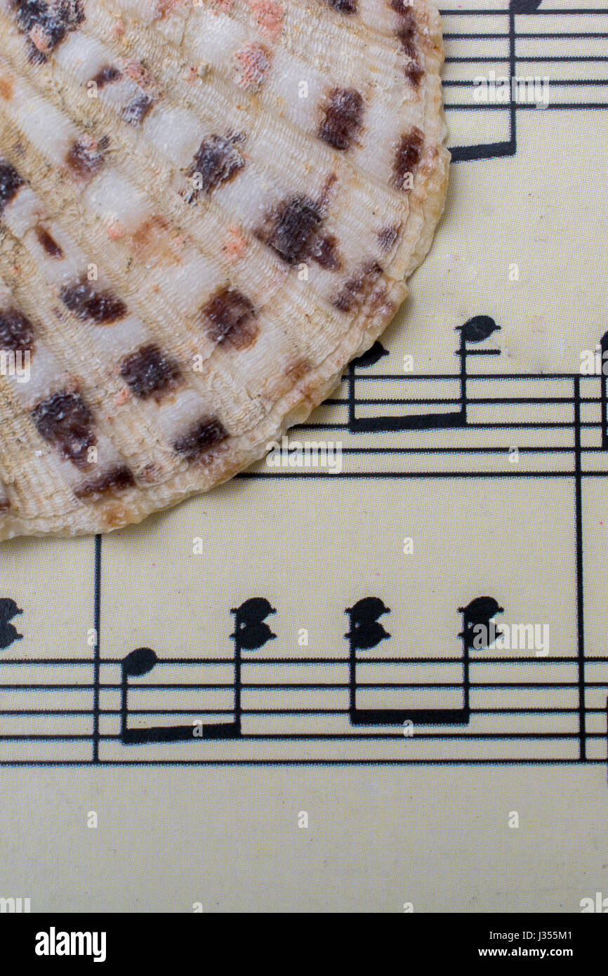 Seashells paper musical notes hi-res stock photography and images - Alamy