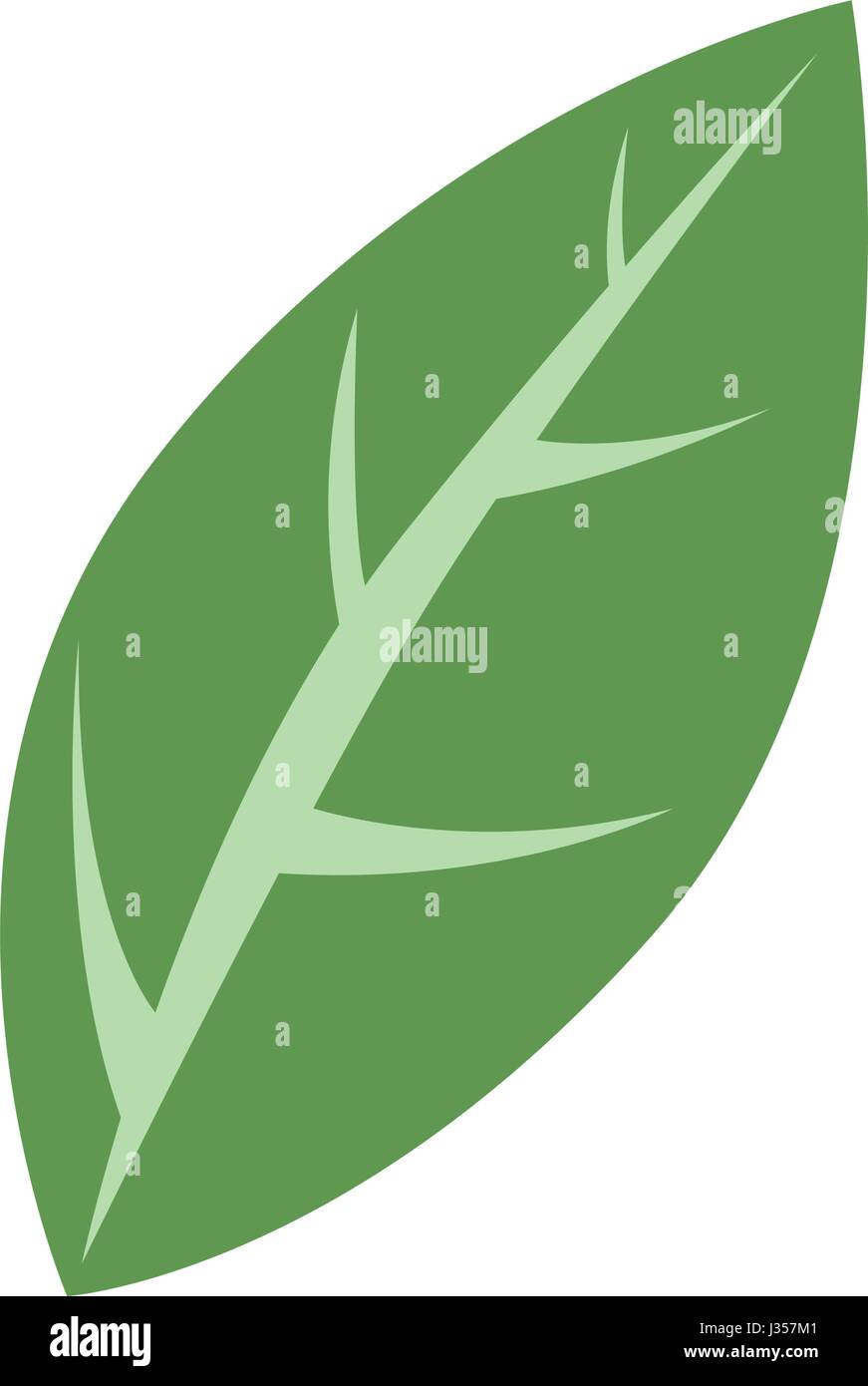 Leaf ecology symbol Stock Vector Image & Art - Alamy