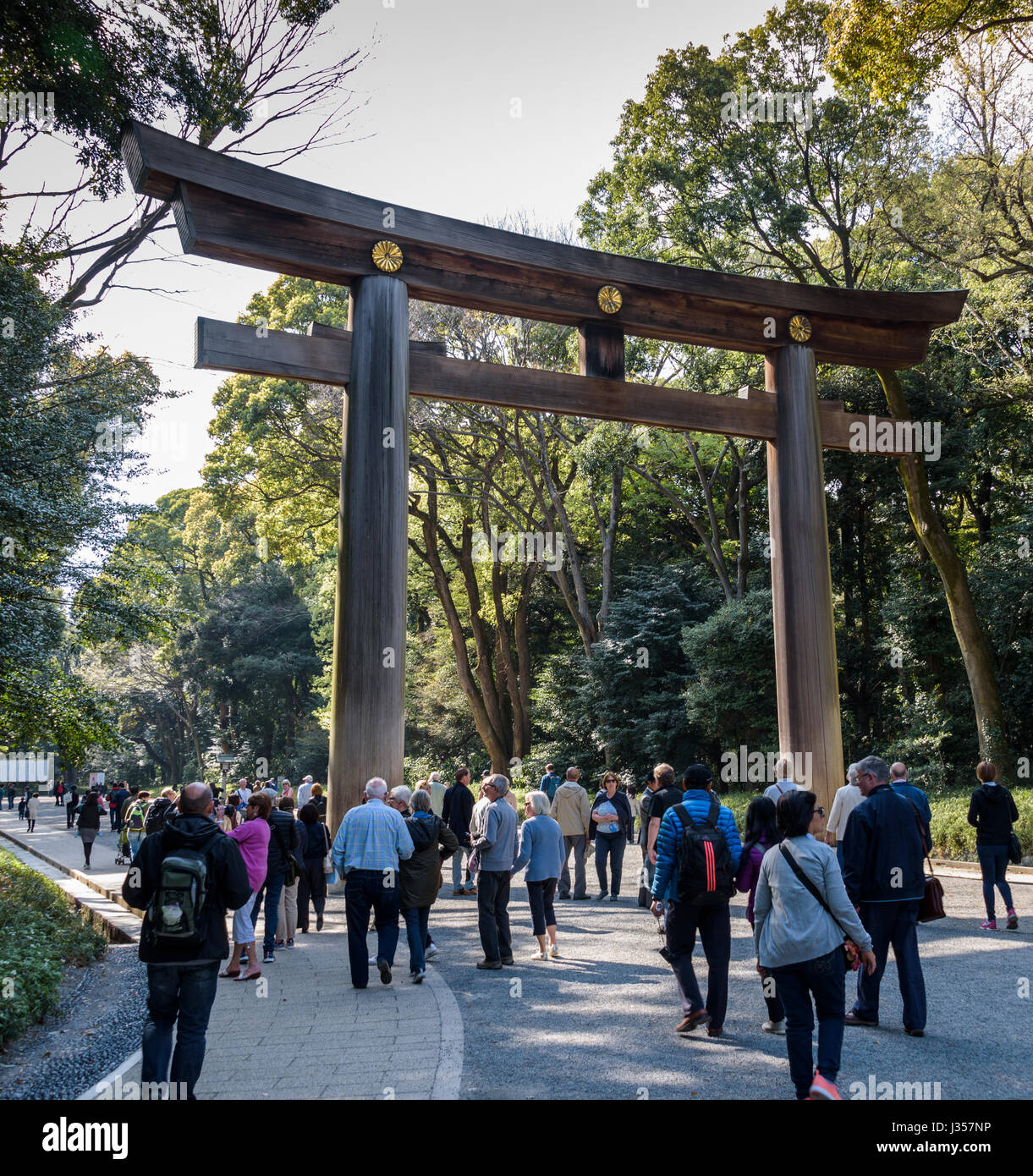 Torii gate marking the entrance to the Meiji shrine Stock Photo - Alamy