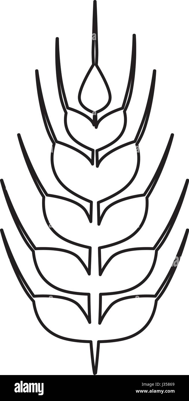 Wheat food symbol Stock Vector Image & Art - Alamy