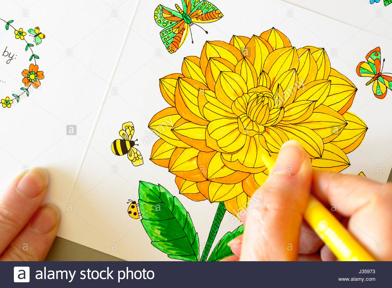 Coloring Book Pages For Adult High Resolution Stock Photography and ...