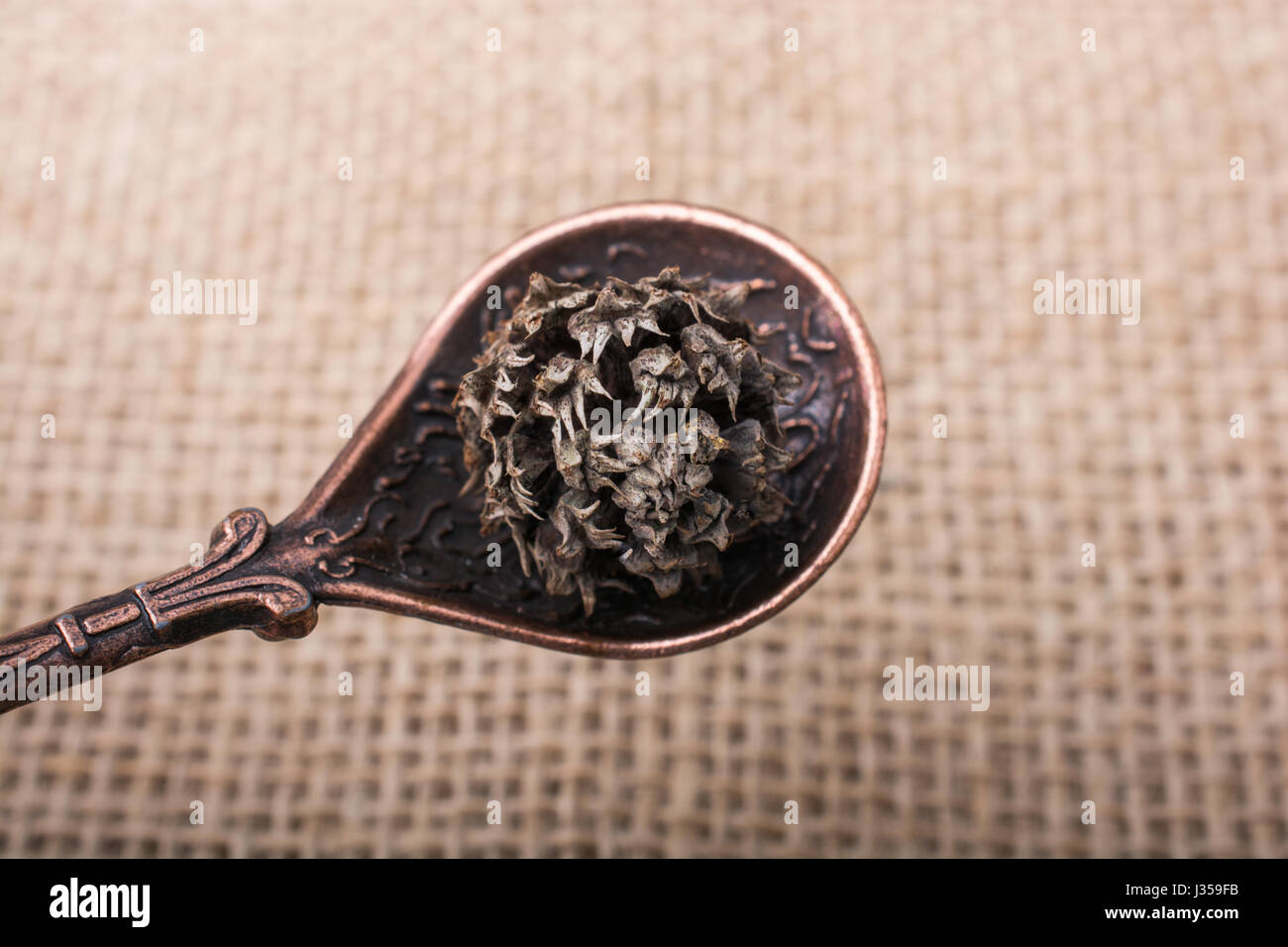 Teaspoon made of metal in the hand Stock Photo - Alamy