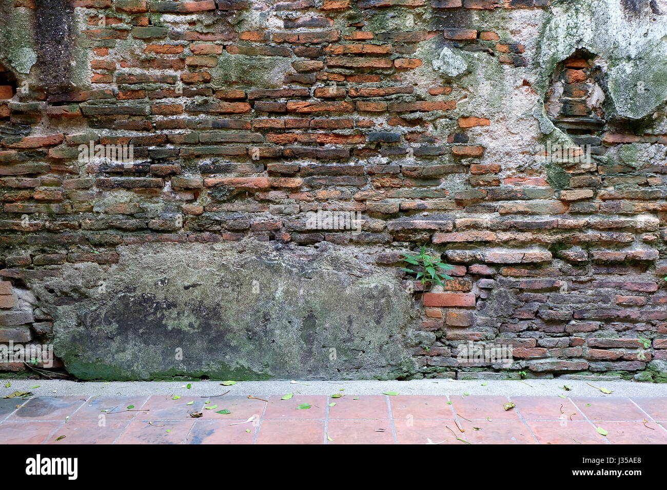 Obsoleted hi-res stock photography and images - Alamy