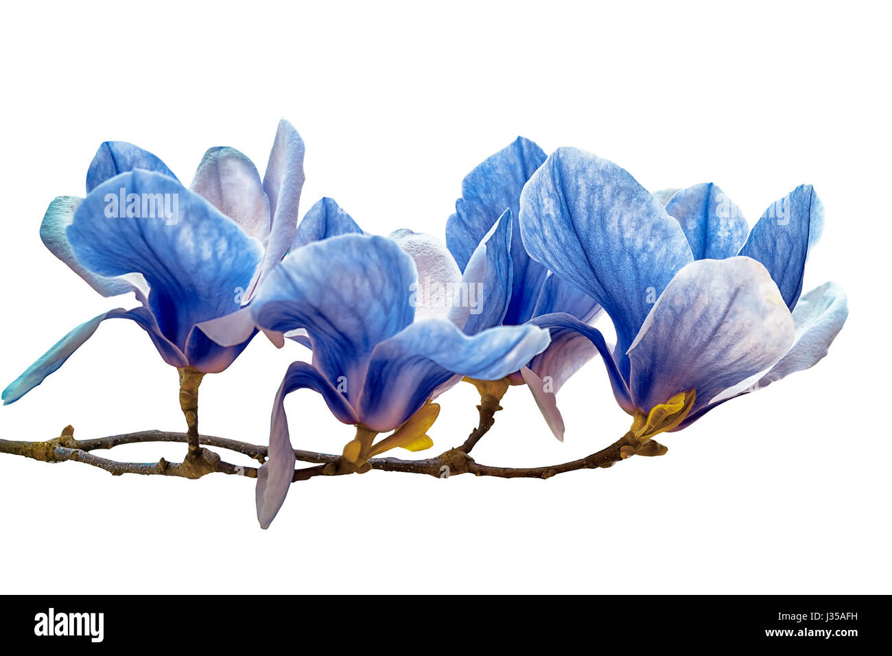 Summer card on blue Cut Out Stock Images & Pictures - Alamy