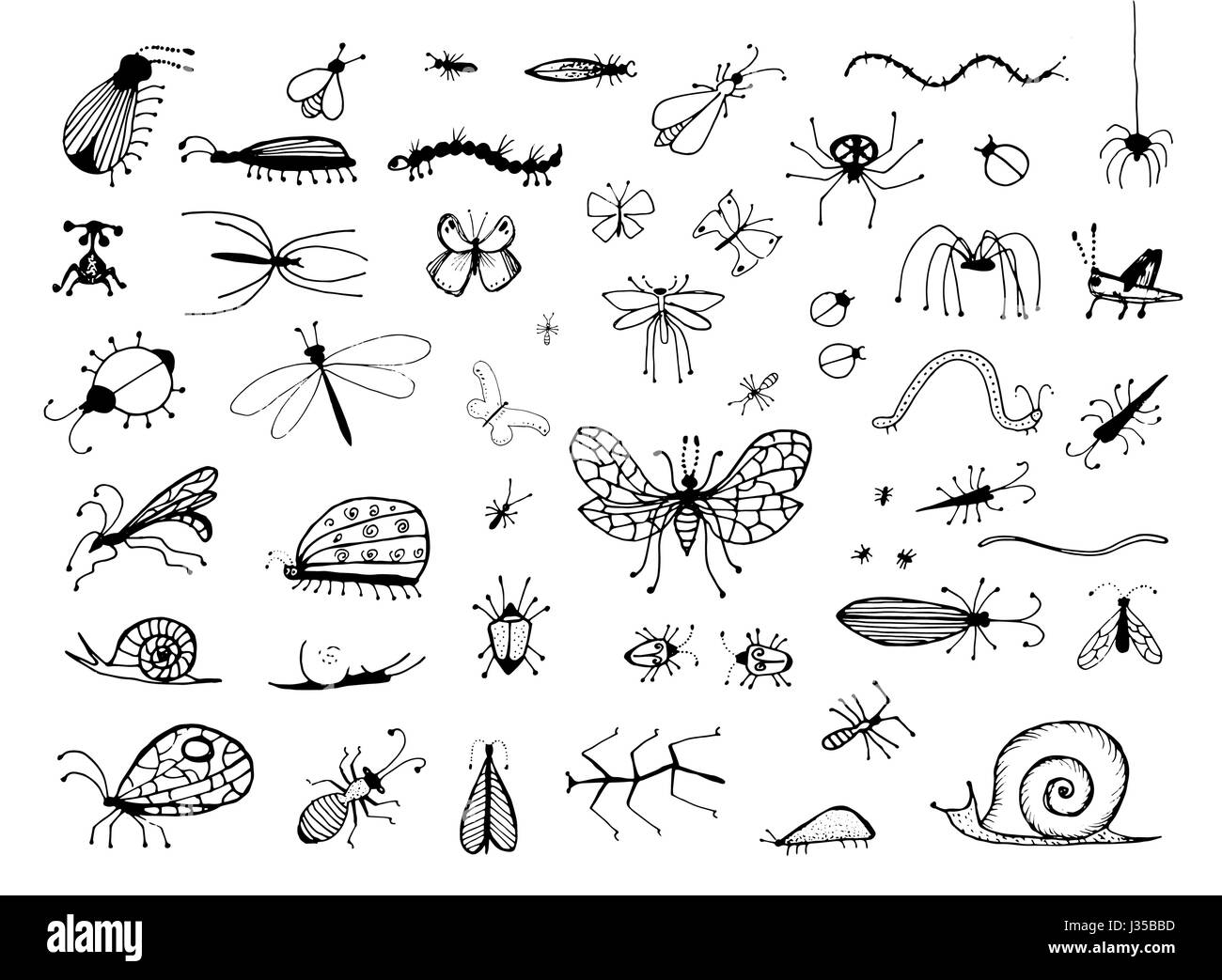 Set of Hand Drawn Insects Bugs, Worms, Caterpillar, Butterfly, Spider ...