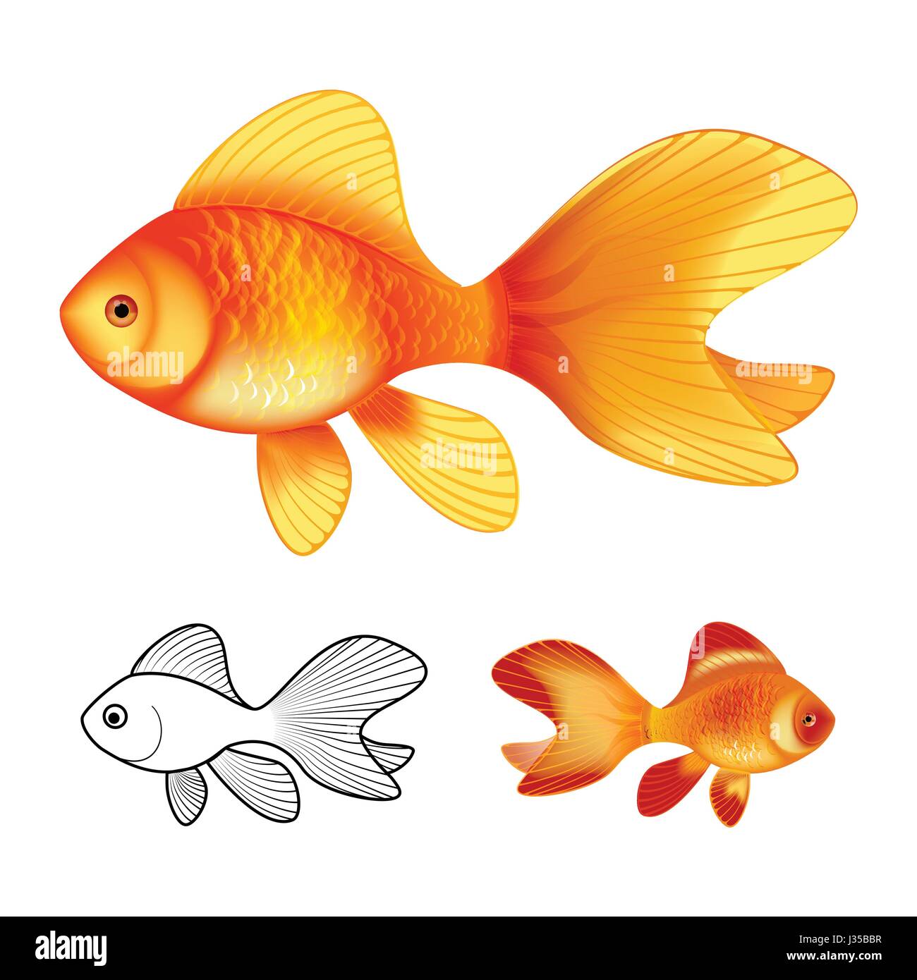 Goldfish tail Stock Vector Images - Alamy
