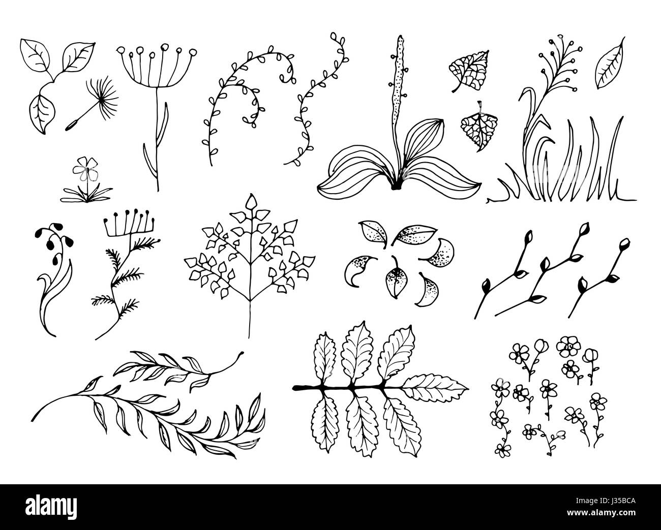 Set of Black Hand Drawn Floral Design Elements Isolated on White ...