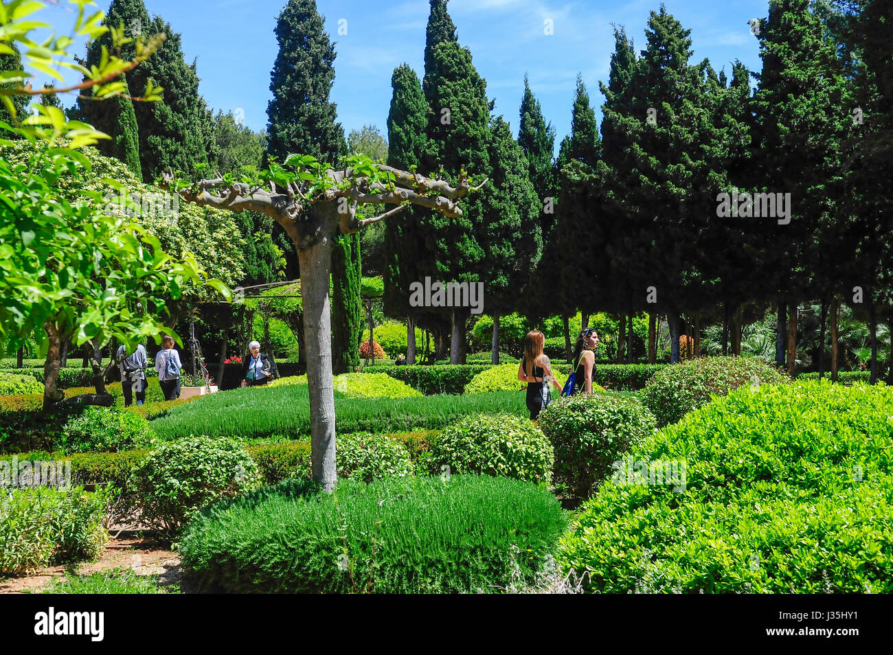 Marivent palace hi-res stock photography and images - Alamy