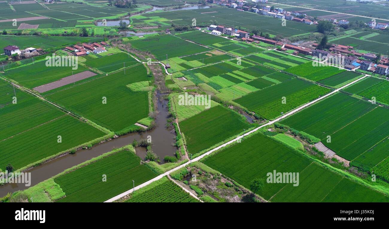 Nanton, Nanton, China. 30th Apr, 2017. Nantong, CHINA-April 30 2017 ...