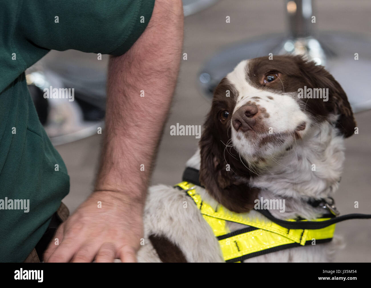 Bomb dog camera hi-res stock photography and images - Alamy