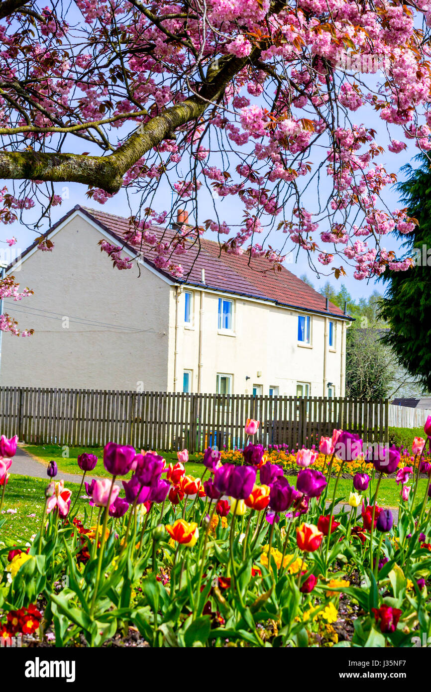 Lennox Town, East DunbartonshireScotland, Monday, 02 May, UK Weather ...