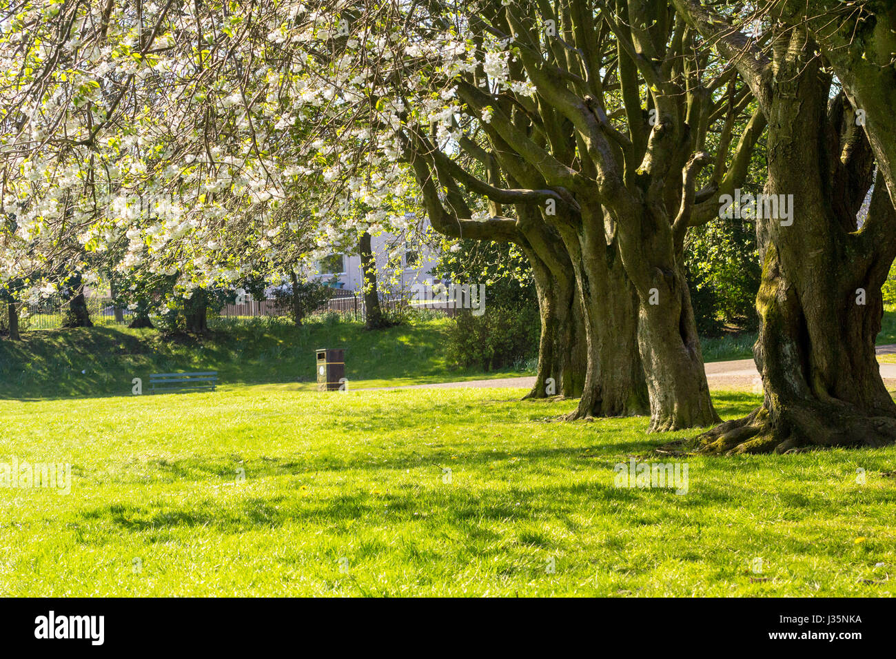 Dunbeth Park in Coatdyke, North Lanakrshire, Scotland, UK, Tuesday, 03 ...