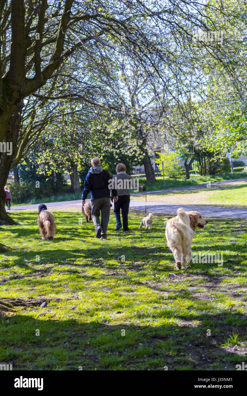 Dunbeth Park in Coatdyke, North Lanakrshire, Scotland, UK, Tuesday, 03 ...