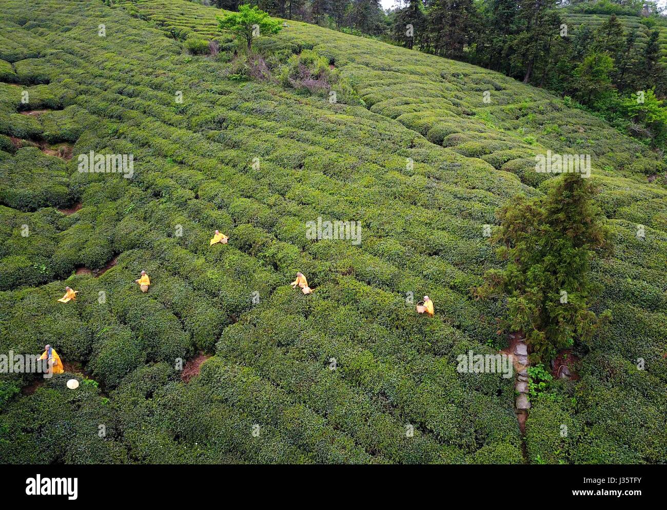 Hong'an, China's Hubei Province. 3rd May, 2017. Nuns of Tiantai Temple ...