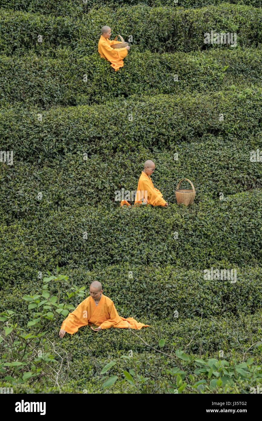 Hong'an, China's Hubei Province. 3rd May, 2017. Nuns of Tiantai Temple ...