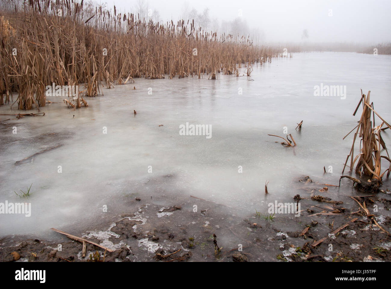 Frozen lake in winter Stock Photo - Alamy