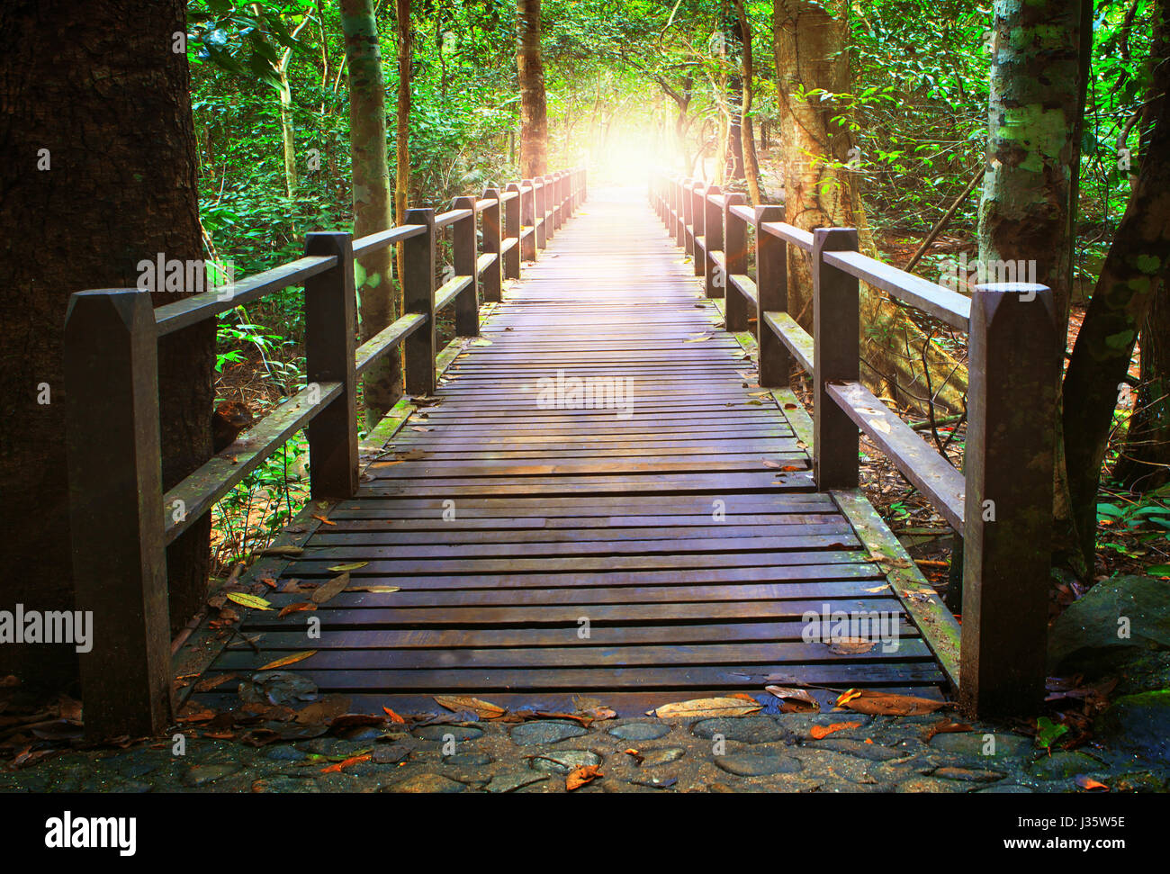perspective of wood bridge in deep forest crossing water stream and ...