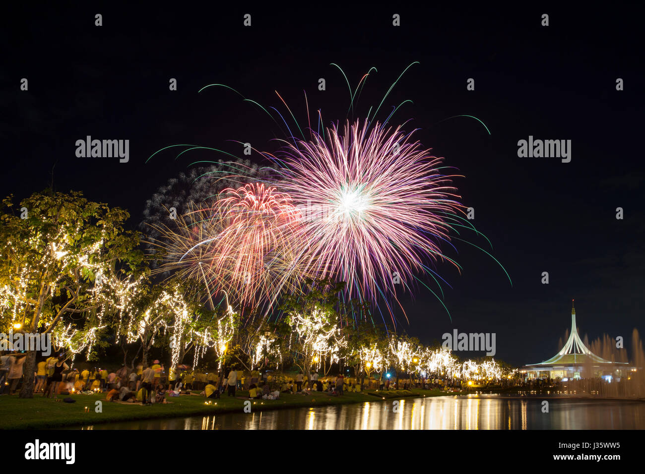beautiful fireworks blooming on dark sky and people watching below ...