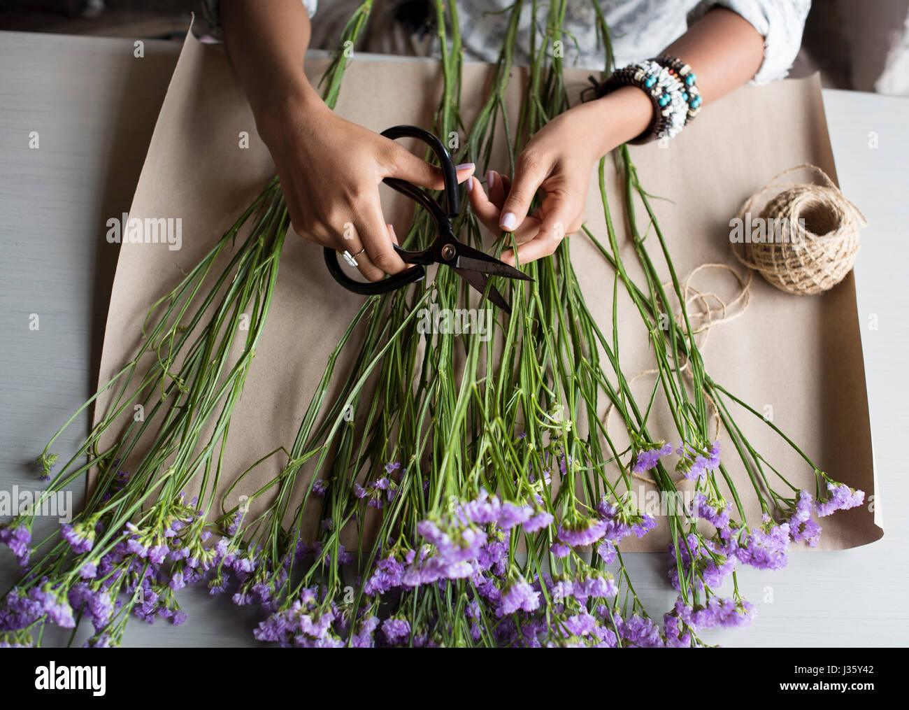 Statis hi-res stock photography and images - Alamy