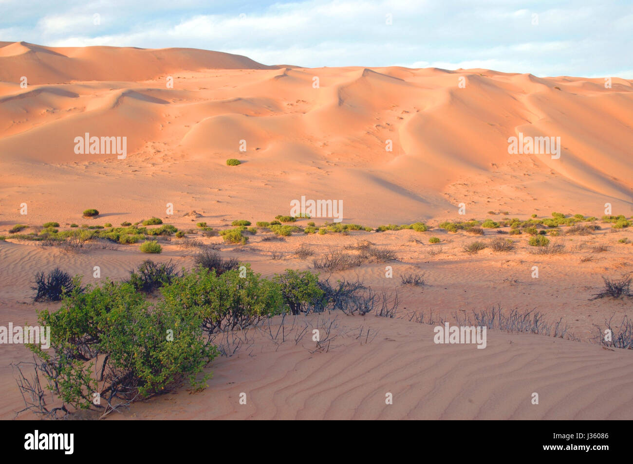 Wind-formed patterns in this collection of sand in the Arabian Desert ...