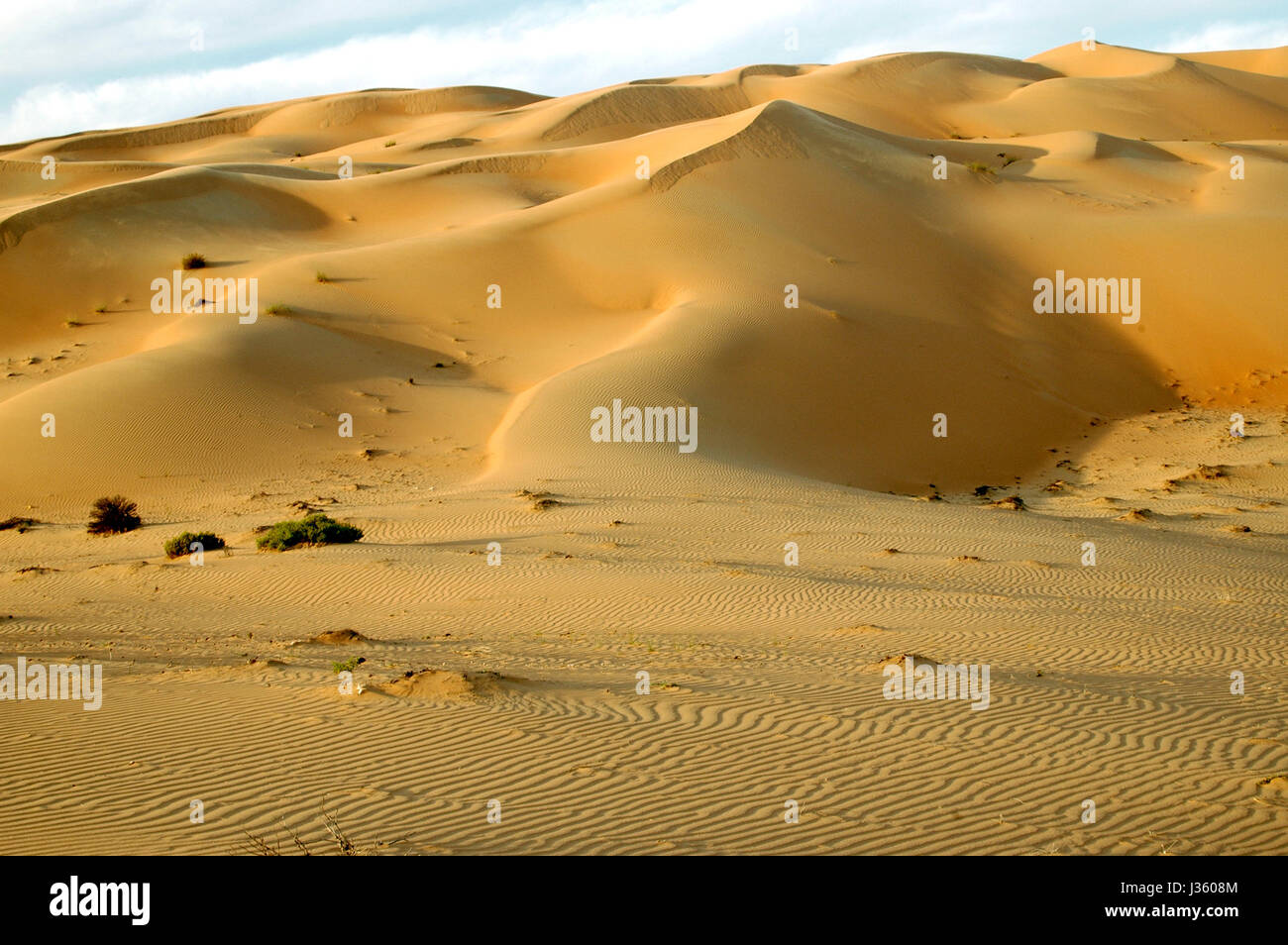 Wind-formed patterns in this collection of sand in the Arabian Desert ...