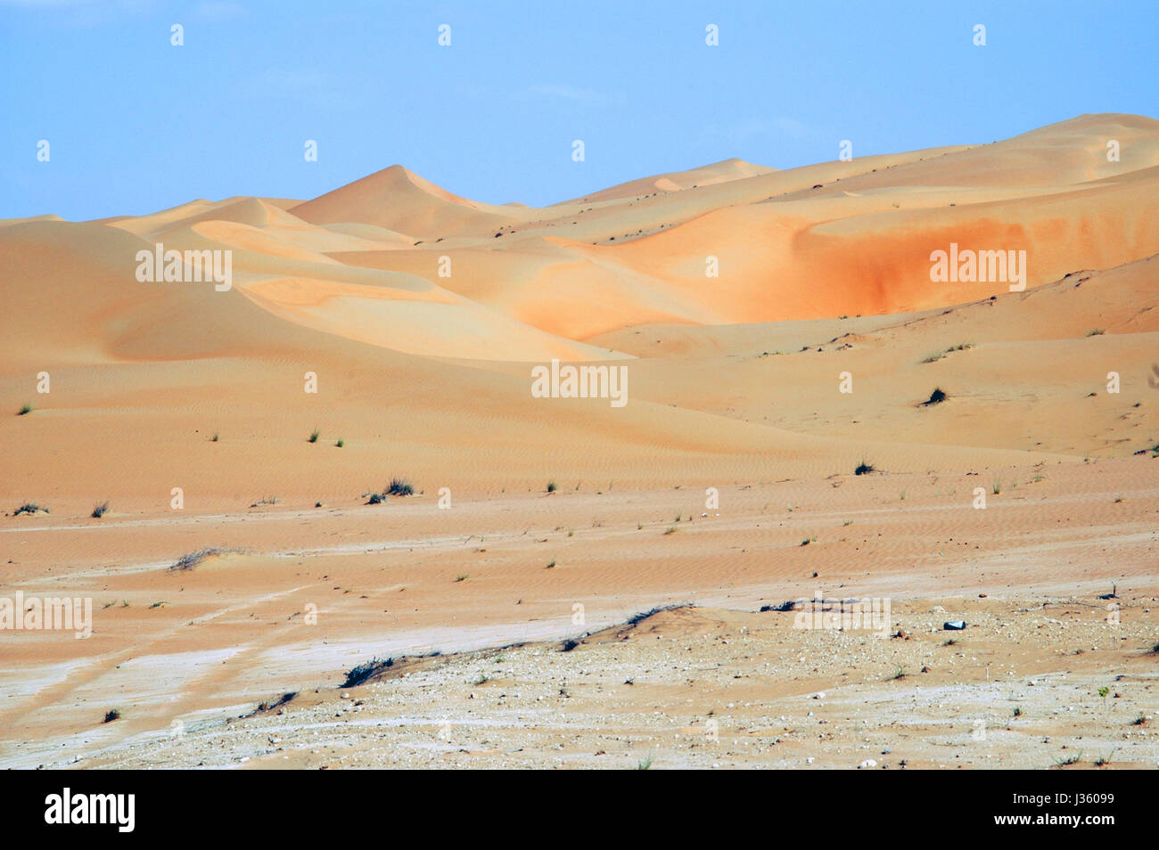 Wind-formed patterns in this collection of sand in the Arabian Desert ...
