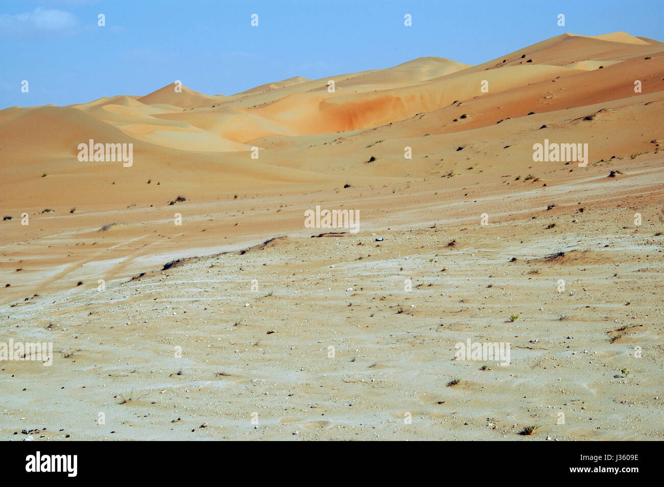 Wind-formed patterns in this collection of sand in the Arabian Desert ...