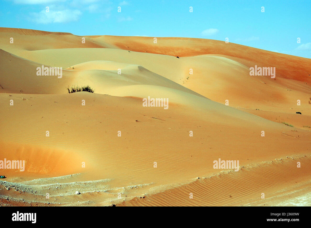 Wind-formed patterns in this collection of sand in the Arabian Desert ...
