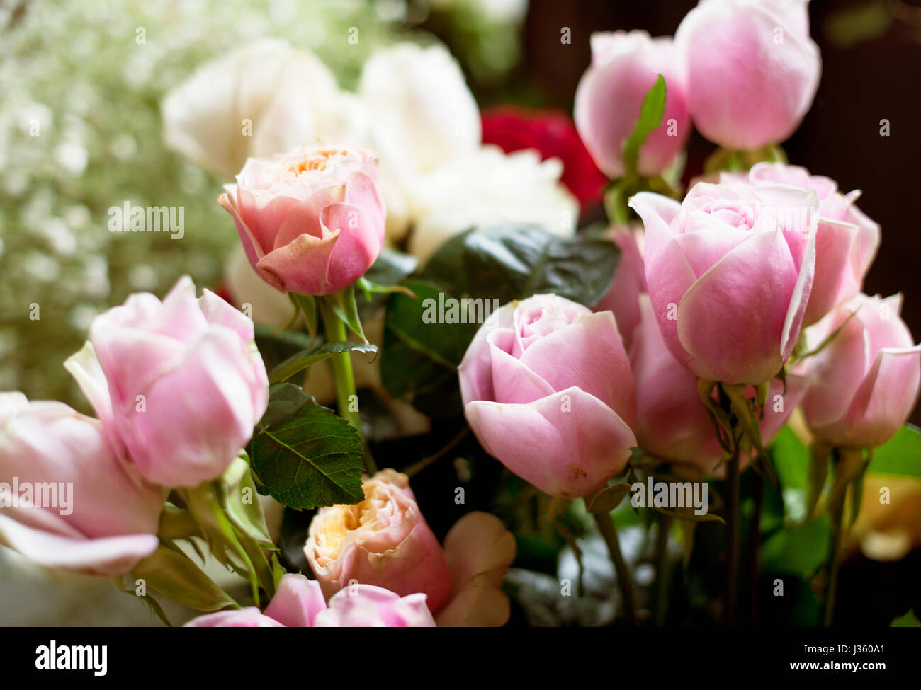 Fresh Roses Flowers Arrangement Decorative Stock Photo - Alamy