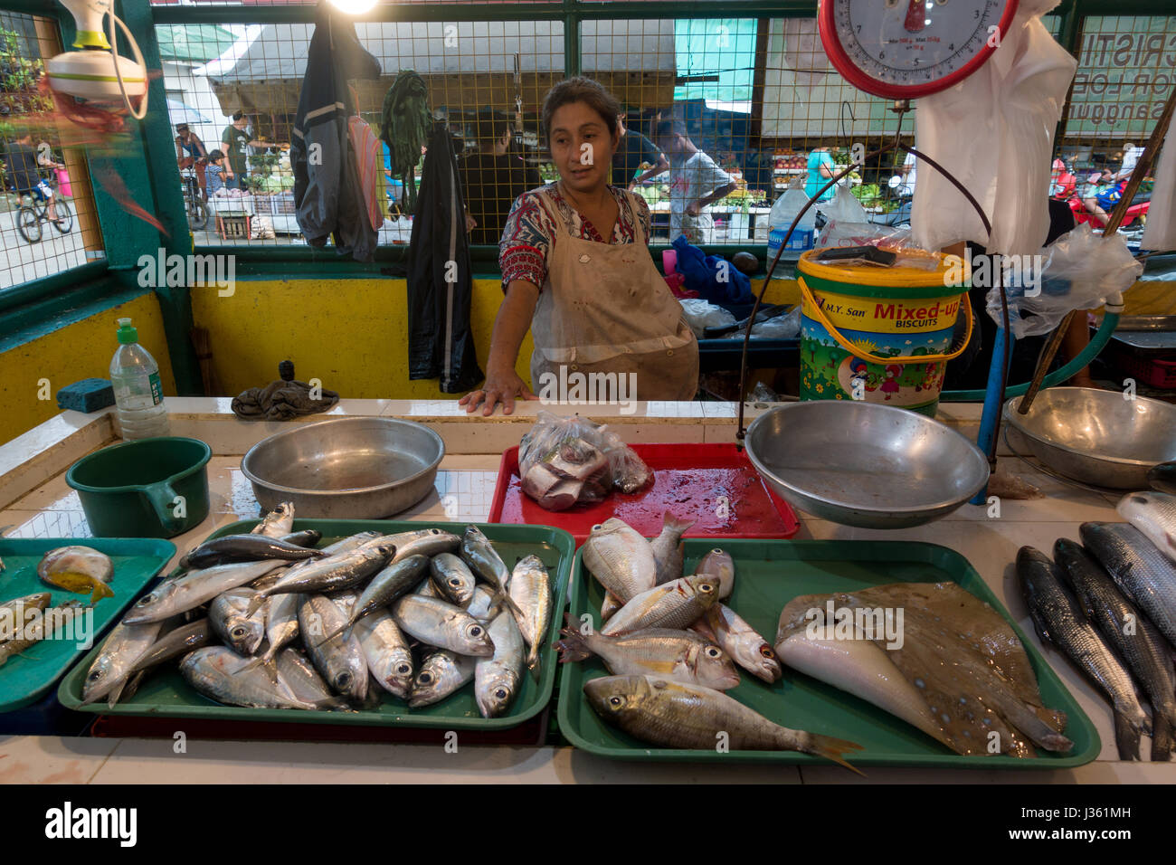 Polilllo island hi-res stock photography and images - Alamy