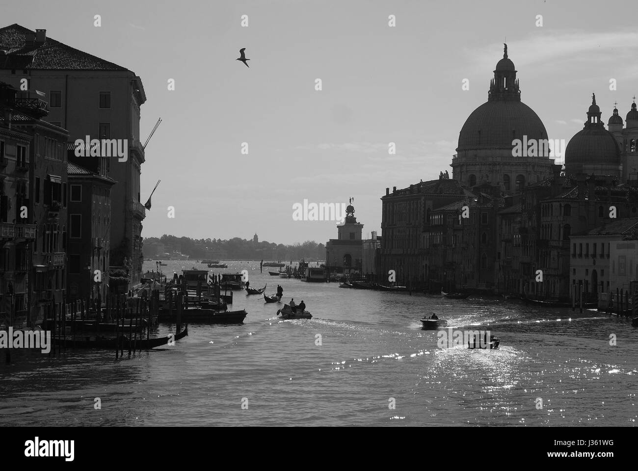 The Grand Canal, Venice Stock Photo - Alamy
