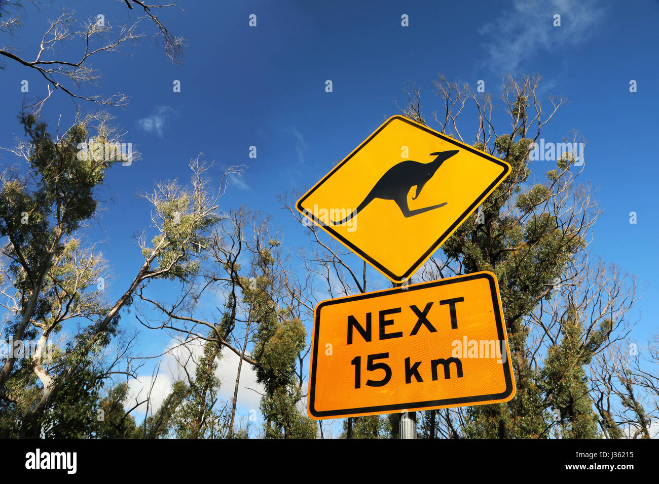Traffic signs roadsign road sign hi-res stock photography and images ...