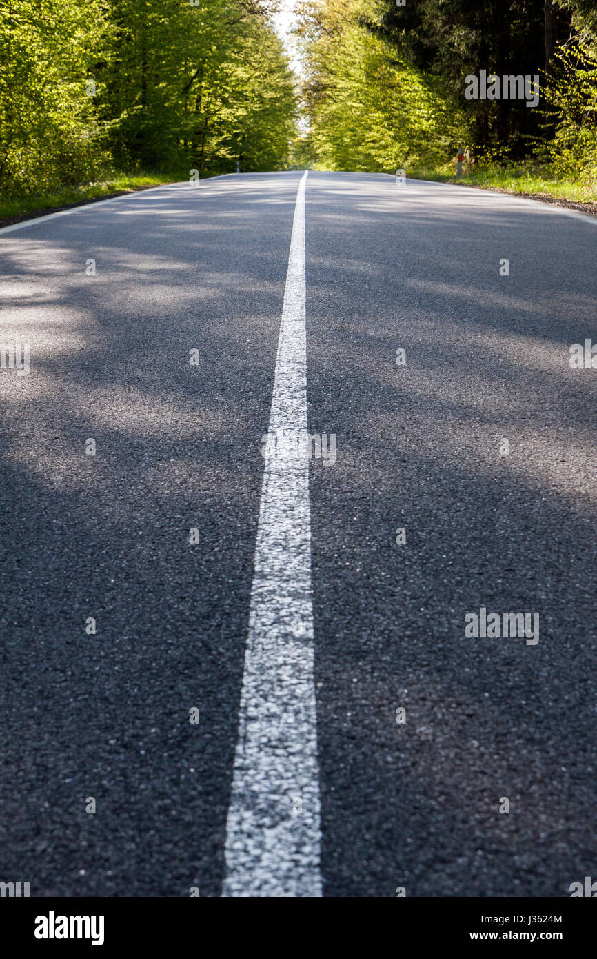 Country asphalt road with tree and sunset flare Stock Photo - Alamy