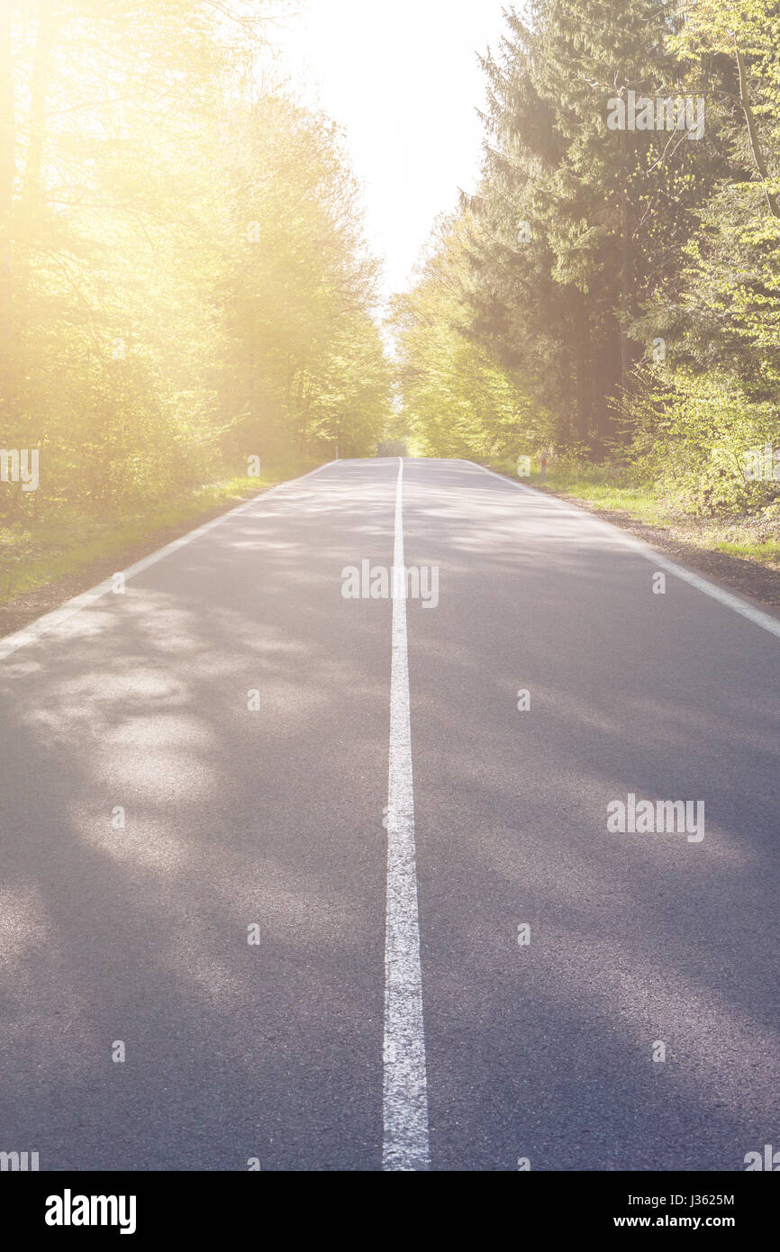 Country asphalt road with tree and sunset flare Stock Photo - Alamy