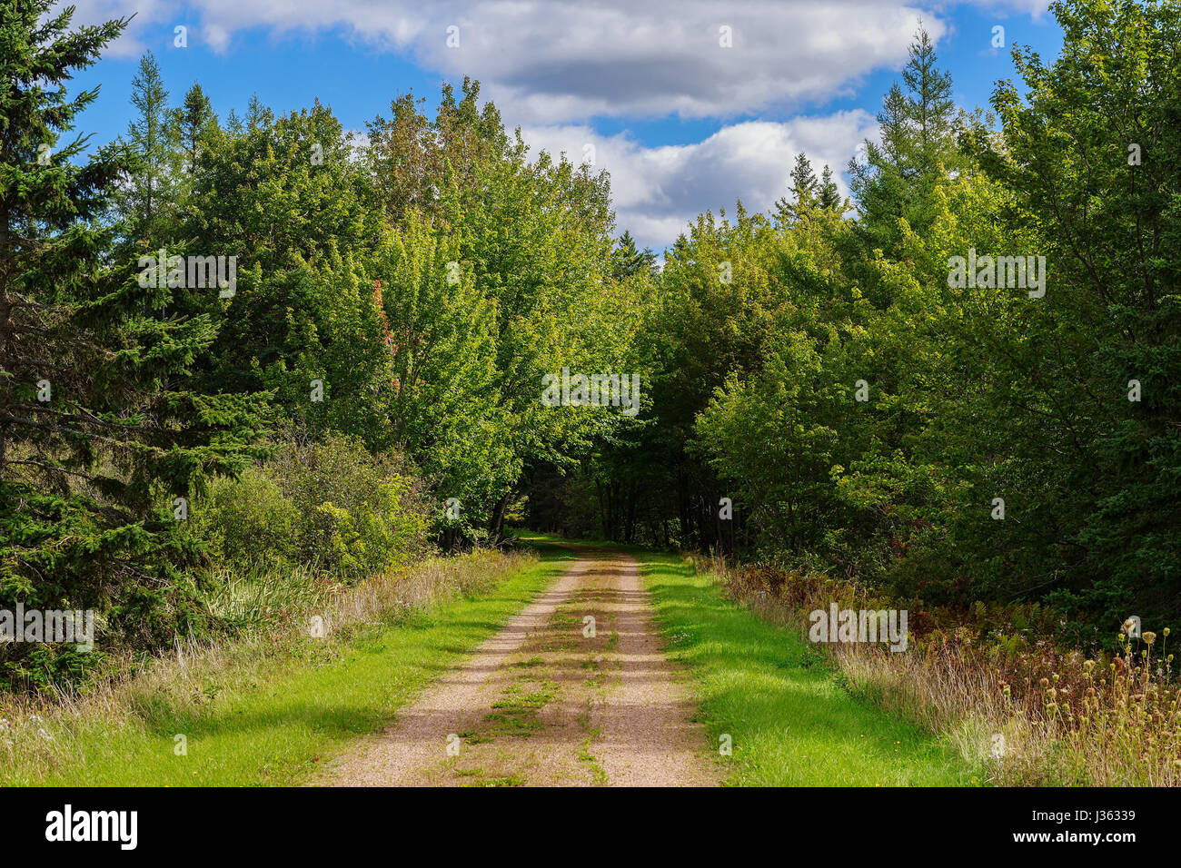Hiking trail in rural Prince Edward Island, Canada know as the ...