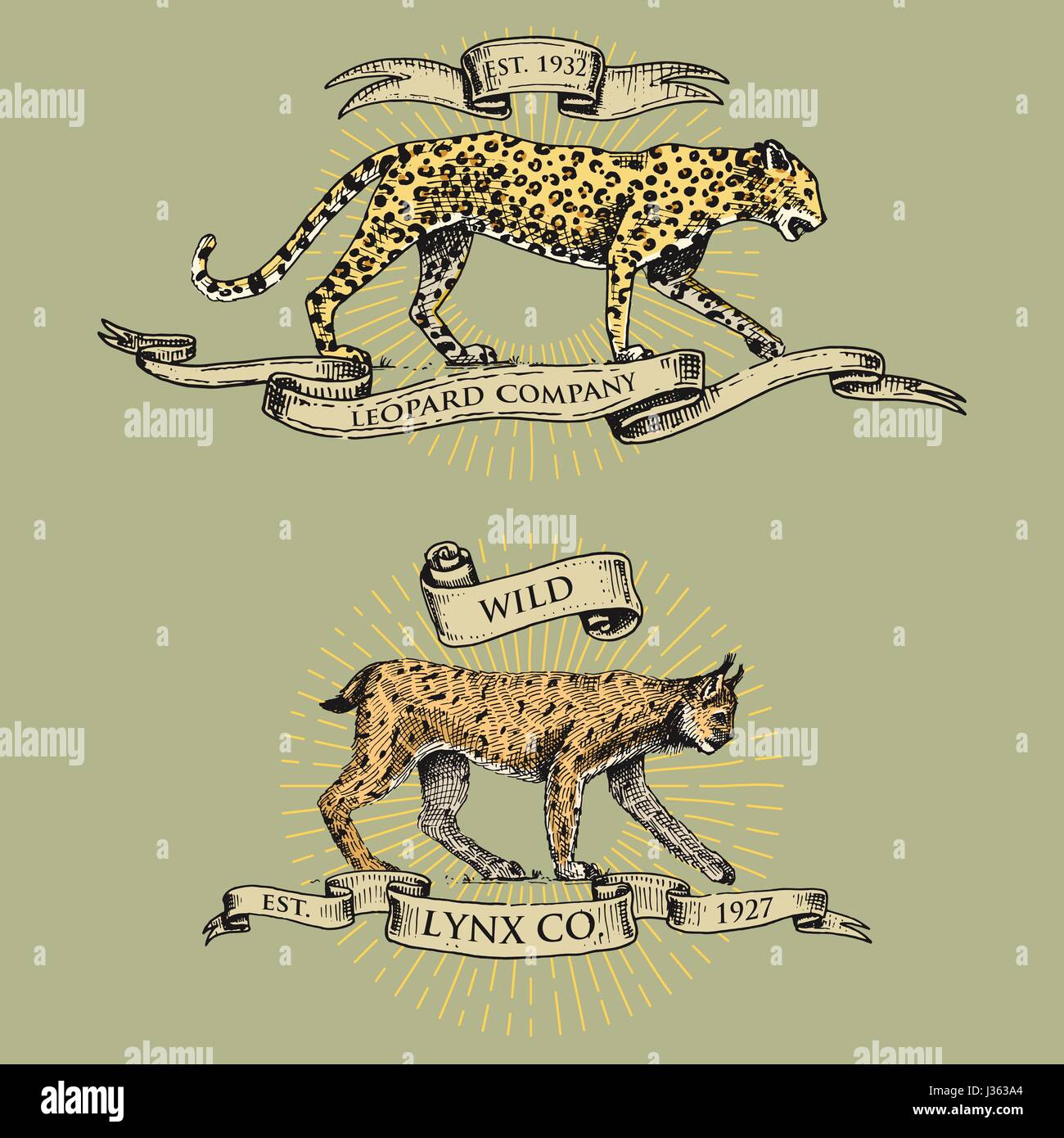 The leopard emblem hi-res stock photography and images - Alamy