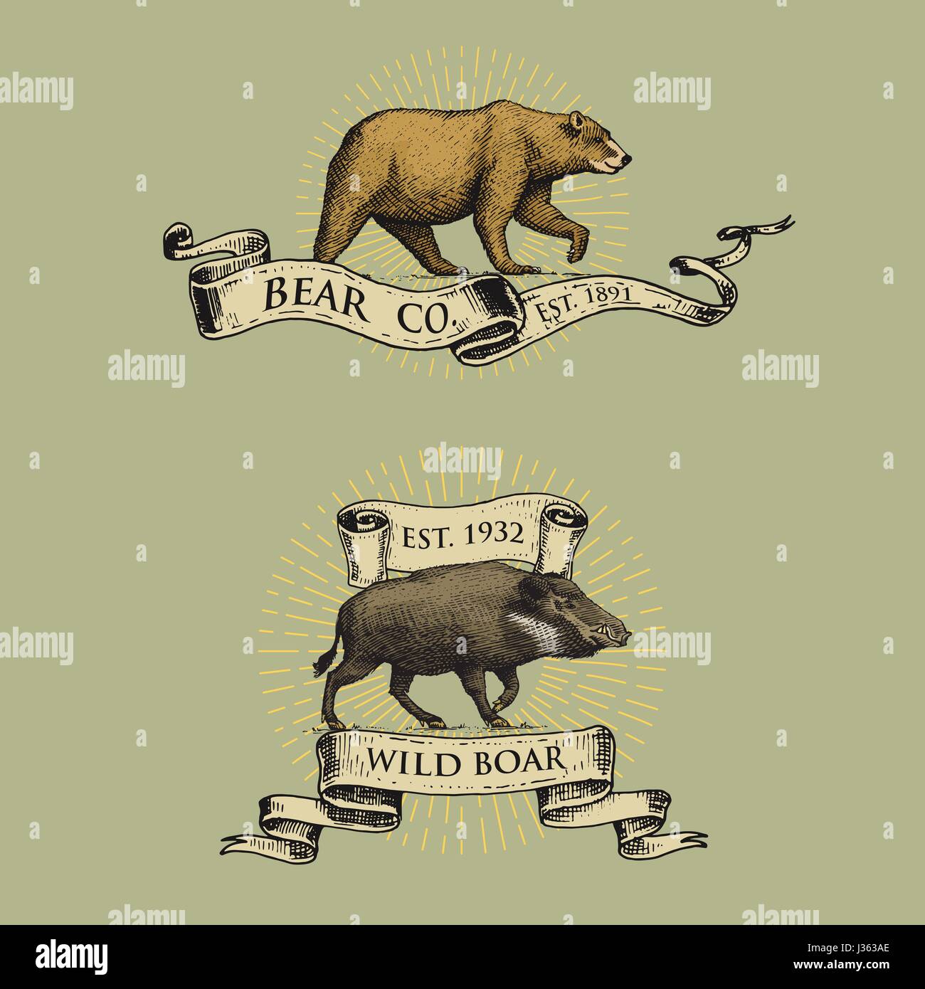 Boar Emblem High Resolution Stock Photography and Images - Alamy