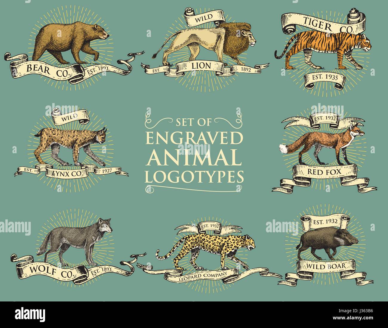 big set of vintage emblems, logos or badges with wild animals tiger ...