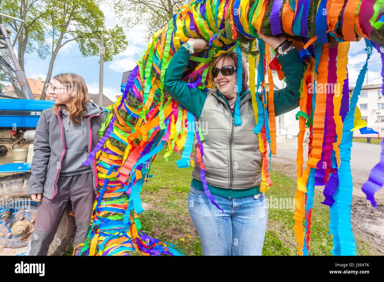 The preparation and construction Maypole is a traditional custom in the ...