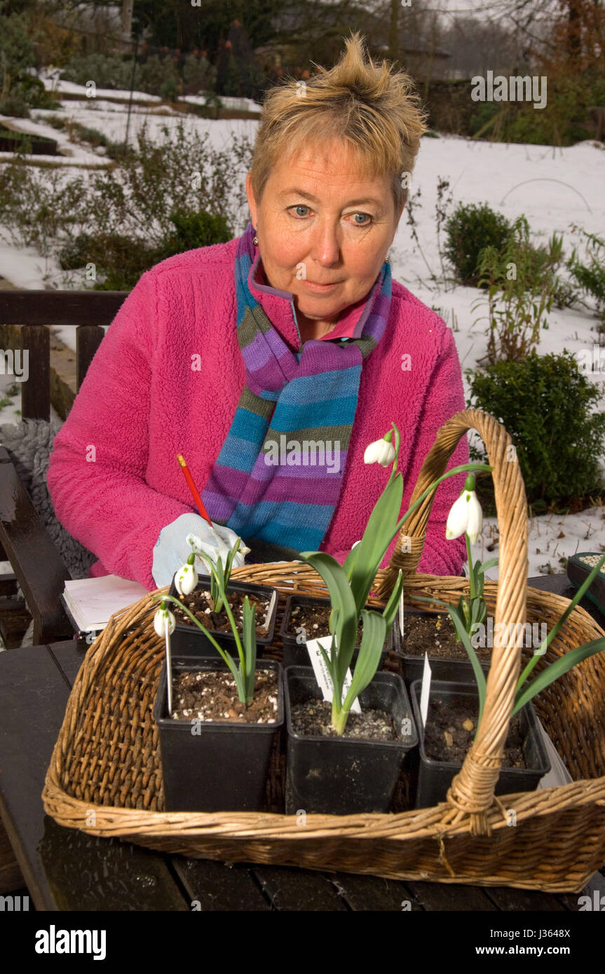 Gardener Val Bourne in the garden of her cottage in the Cotswolds ...