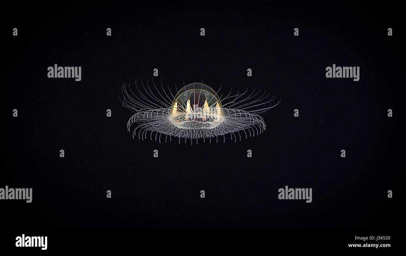 Cosmic feet hi-res stock photography and images - Alamy