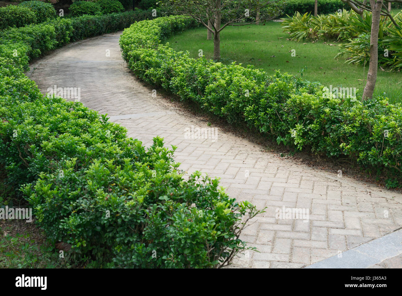 curved outdoor pathway in a park Stock Photo - Alamy