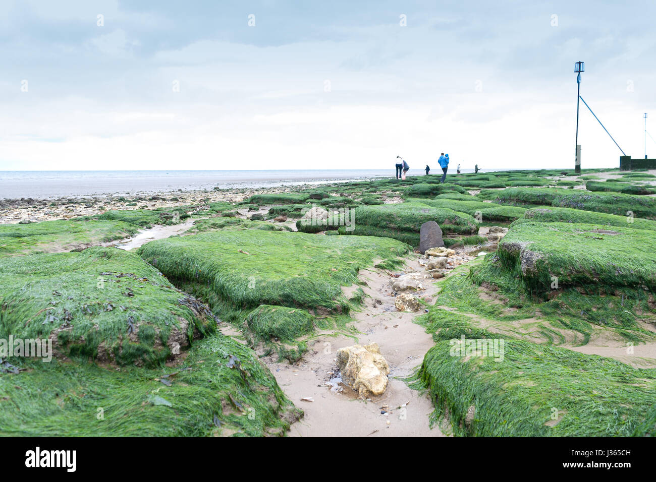 green covered rocks in Hunstanton when the tide is low - rock pool ...