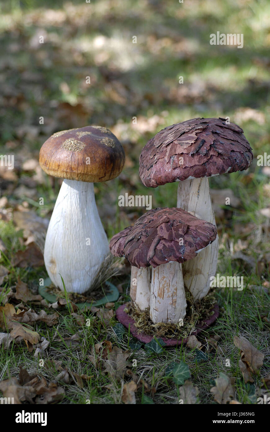 October, meal on a forest theme: mushrooms Stock Photo - Alamy
