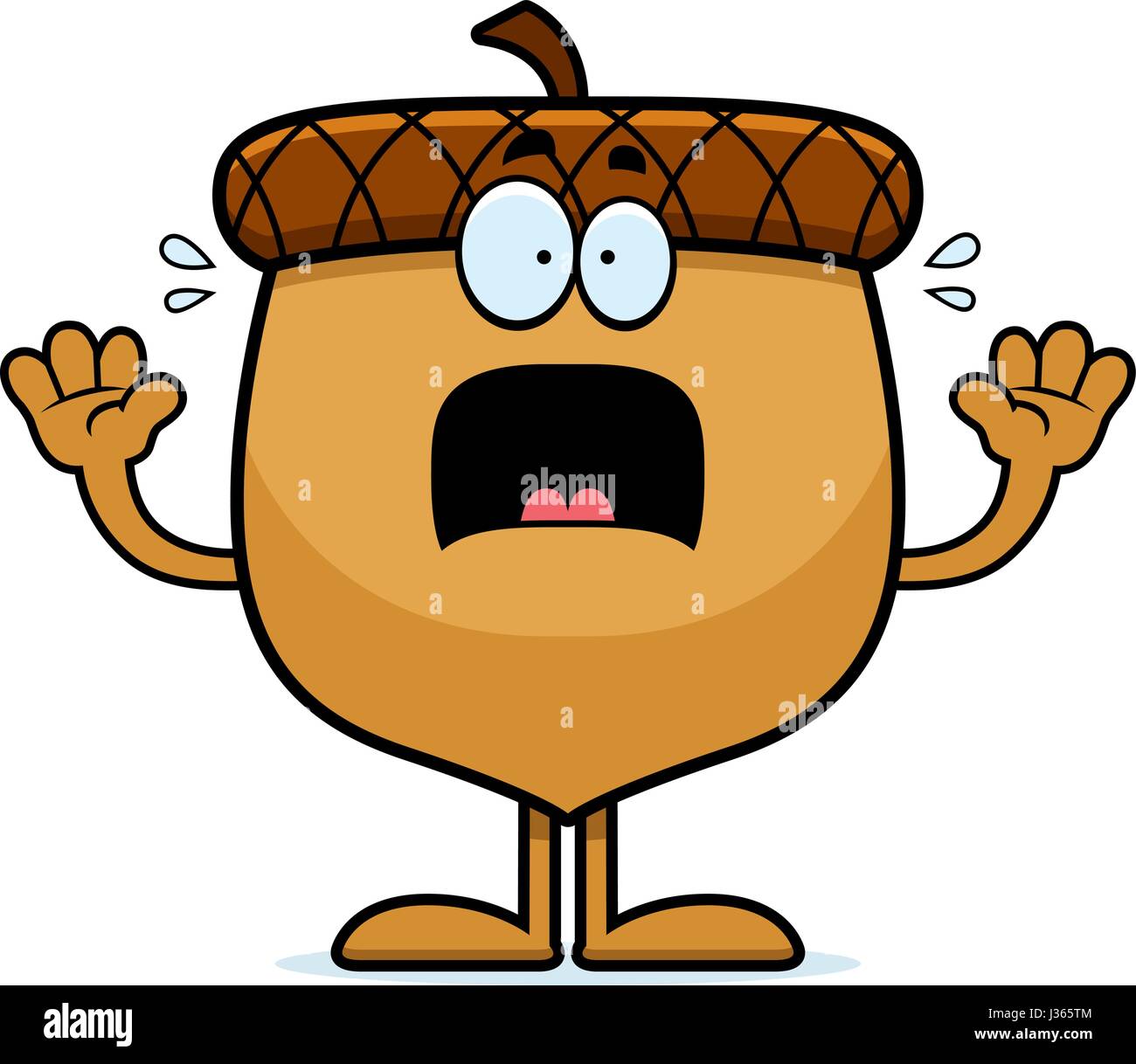A cartoon illustration of an acorn looking scared Stock Vector Image ...