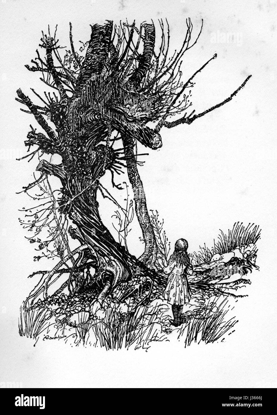 Illustration by Arthur Rackham Alice's Adventures in Wonderland, by ...