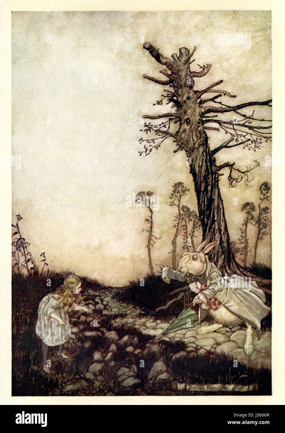 Illustration by Arthur Rackham Alice's Adventures in Wonderland, by ...