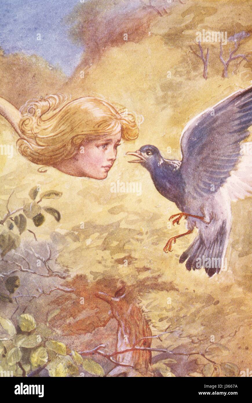 Illustration by A.E. Jackson Alice's Adventures in Wonderland, by Lewis ...