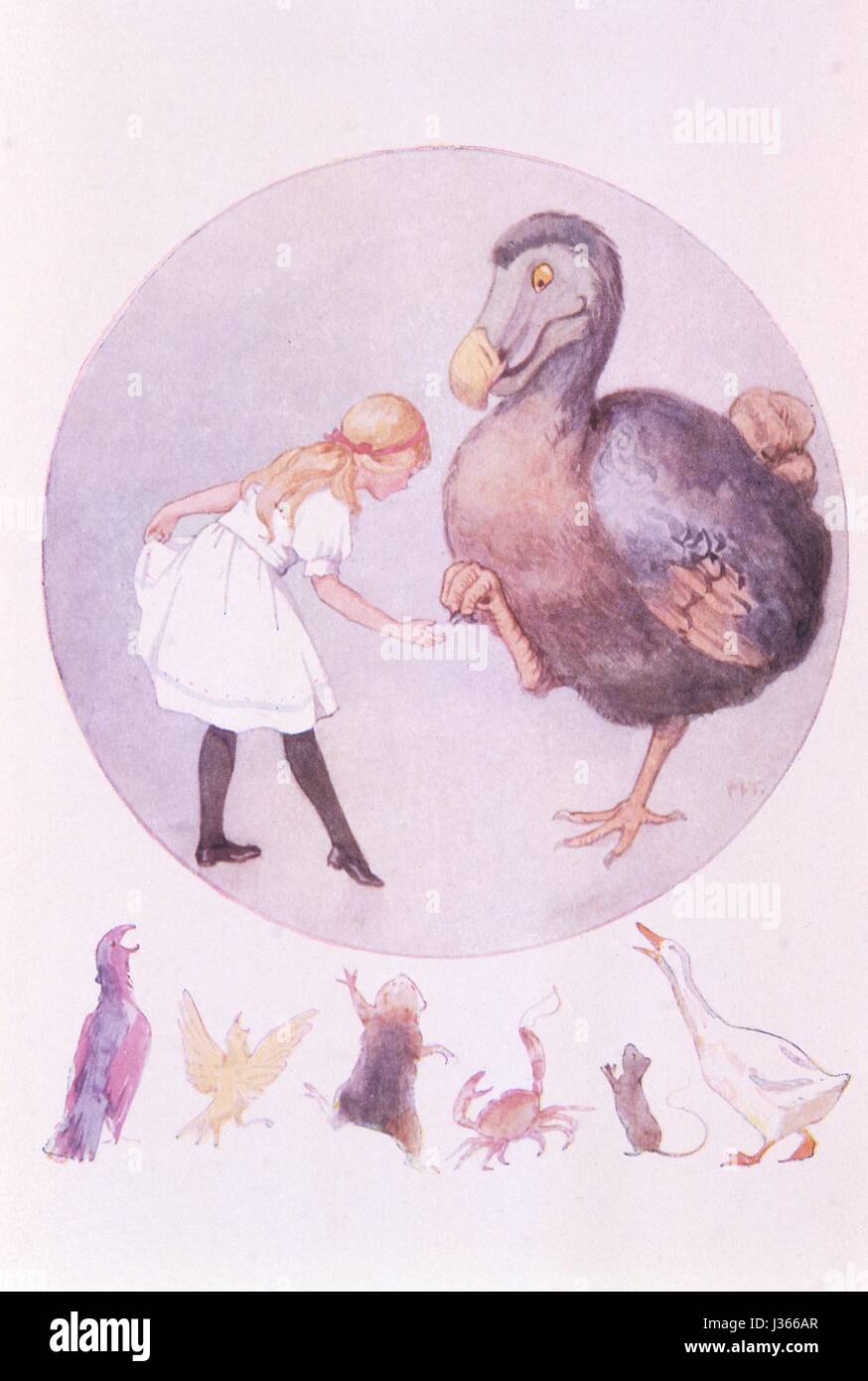 Dodo Alice In Wonderland